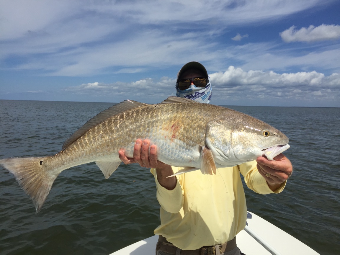 March Fishing in Key Largo – Key Largo Fishing Report